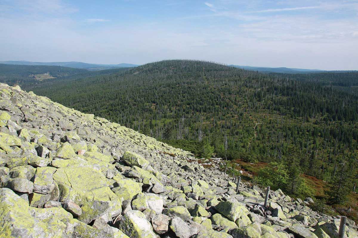 Luzný XL | Průvodci divočinou